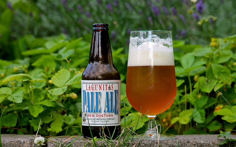 Qu'est ce qu'une Pale Ale ? | Explication d'un brasseur